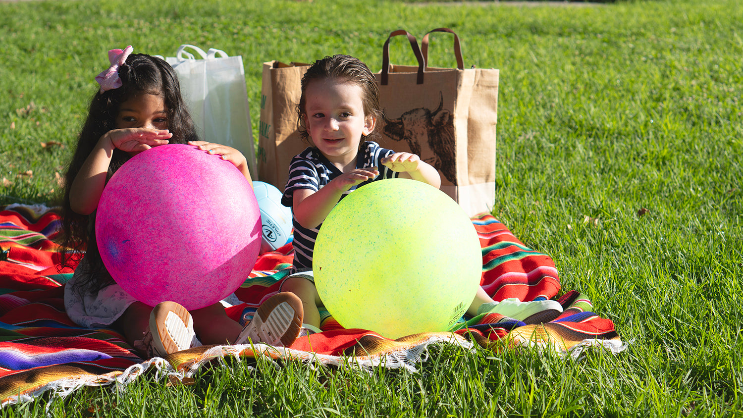 The innovator in reusable bags since 2005 – Earthwise Reusable Bags
