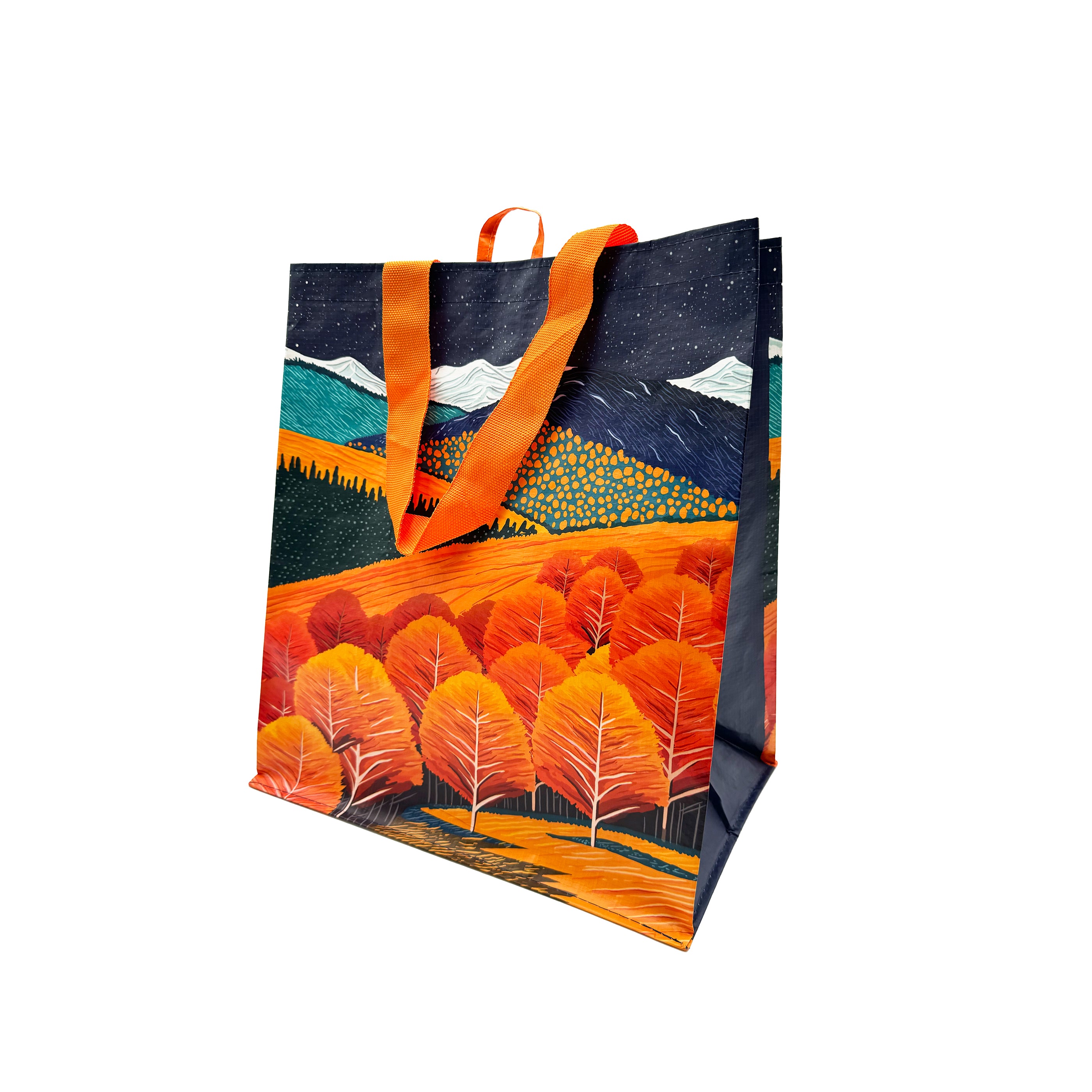 Shop – Earthwise Reusable Bags