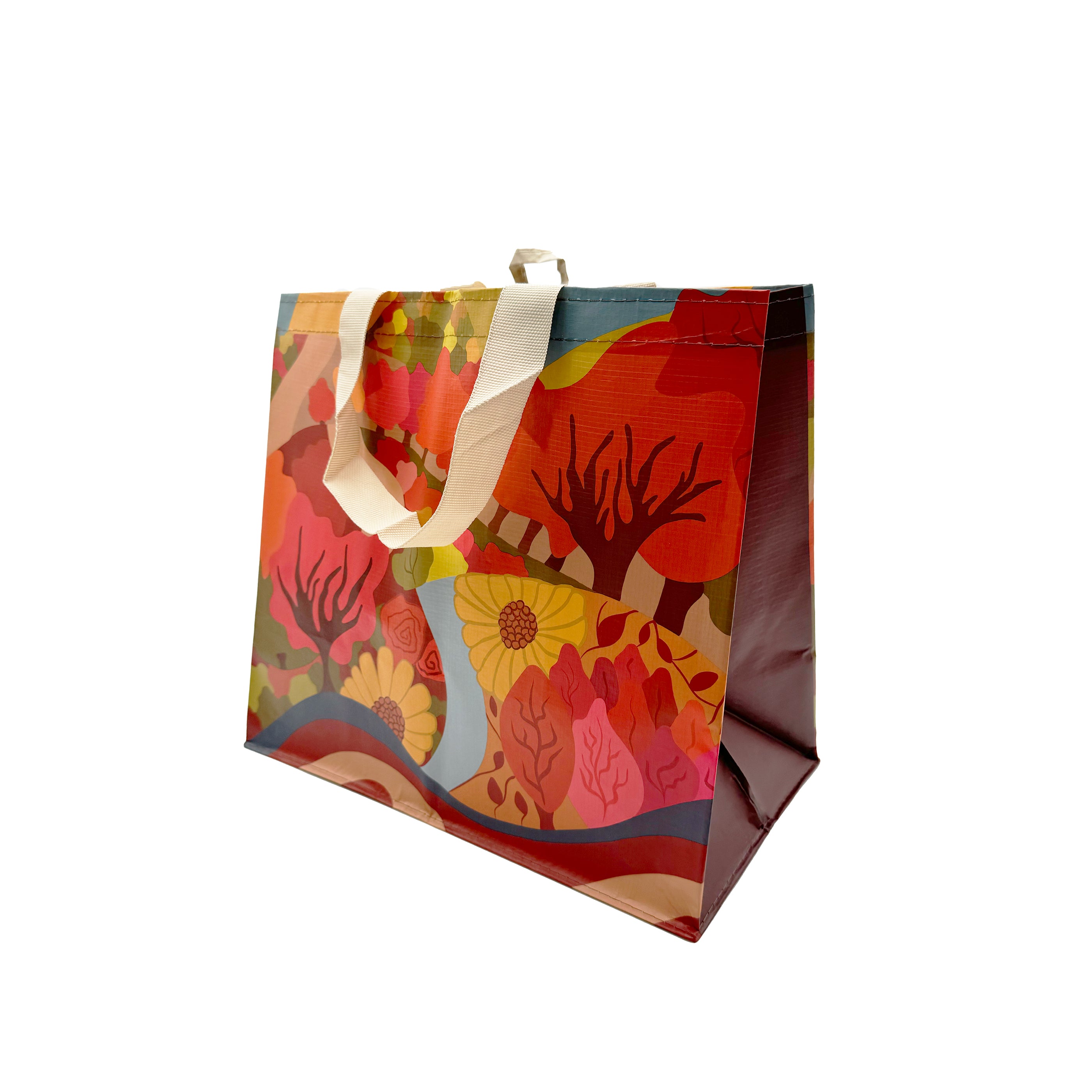 Grocery & Shopping Bags – Earthwise Reusable Bags